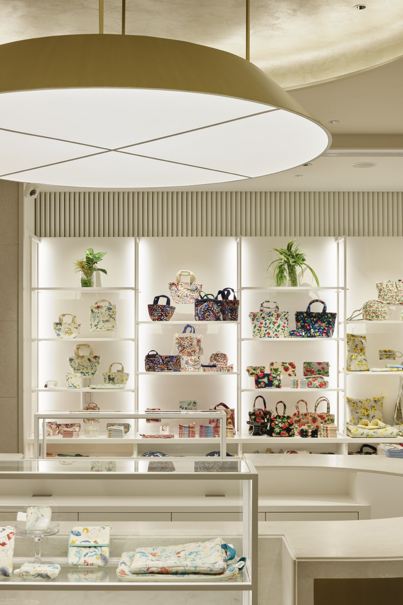 FEILER GINZA - Y LIGHTS